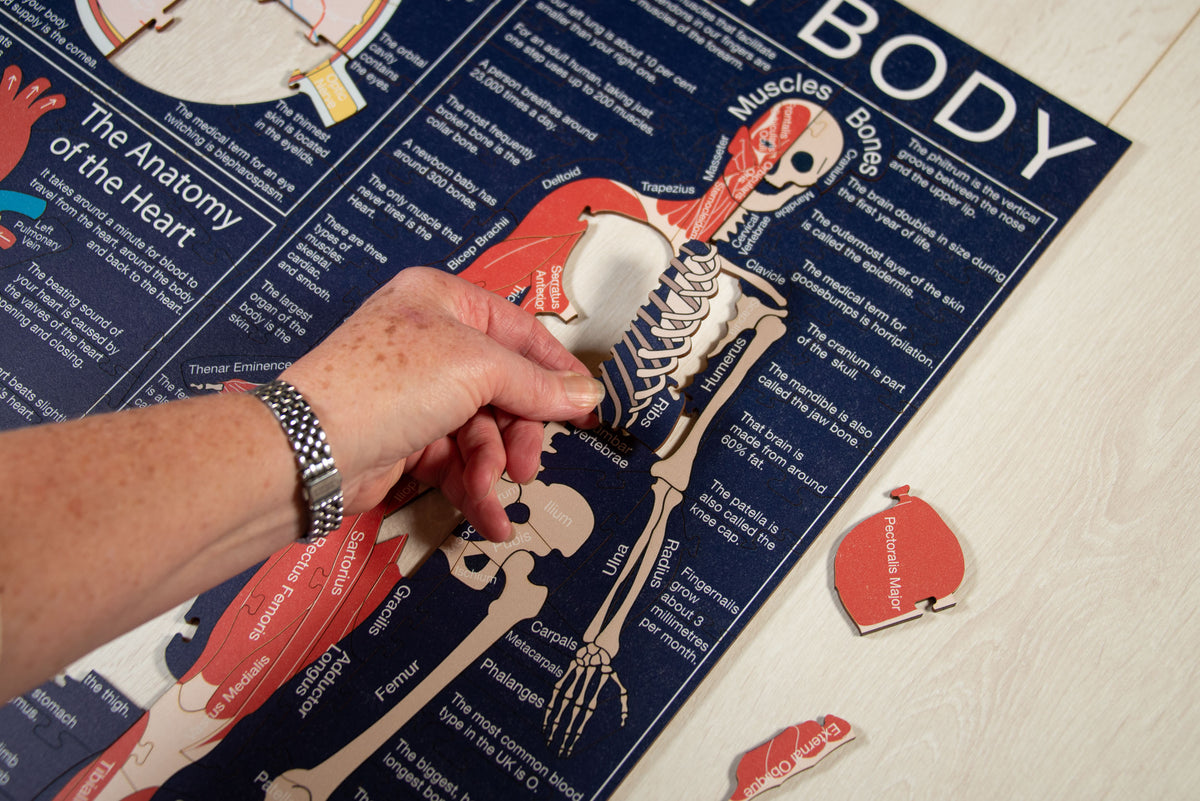 The Human Body Puzzle – HeirloomPuzzles